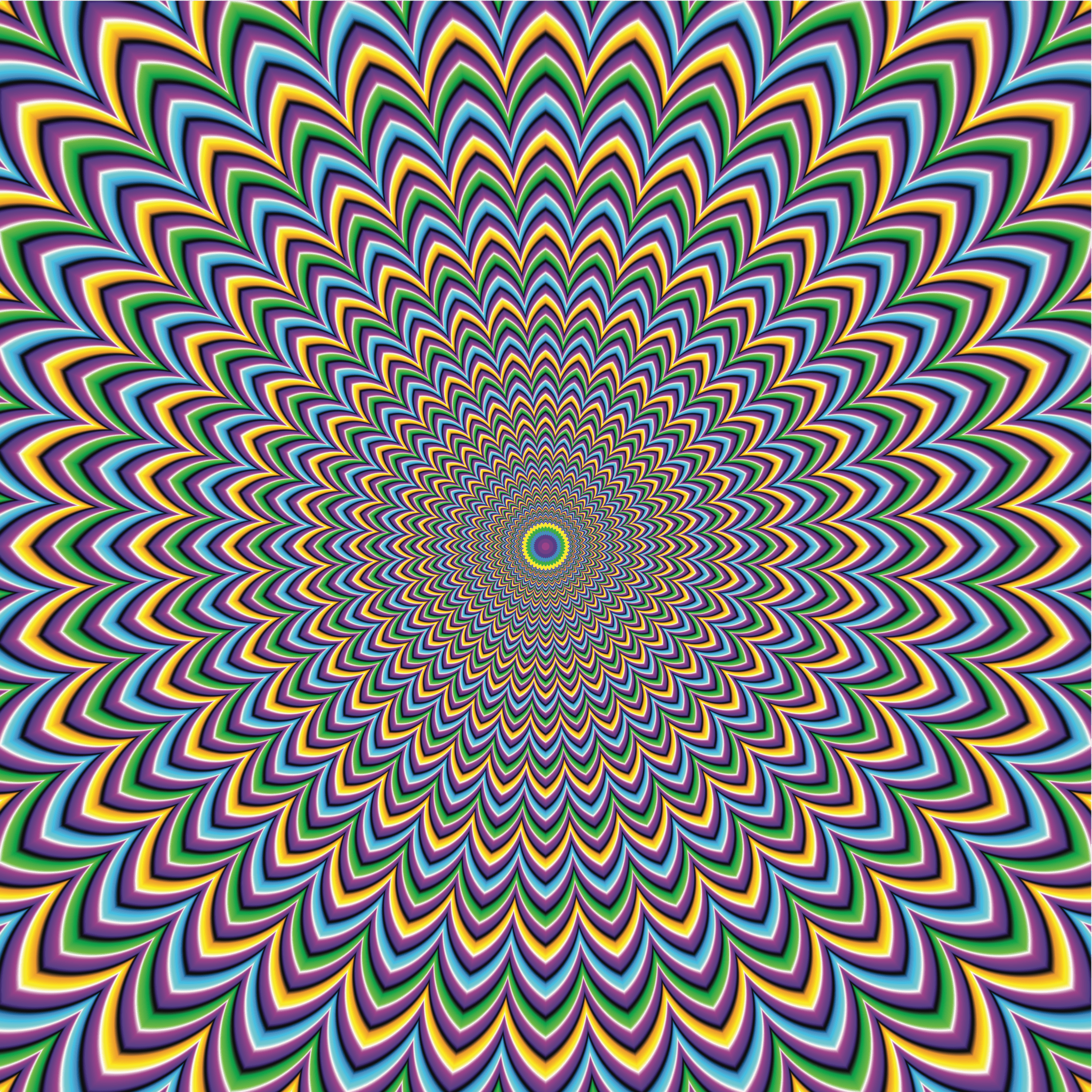 Optical Illusion Art Projects Tricking The Eye With Op Art C3W5